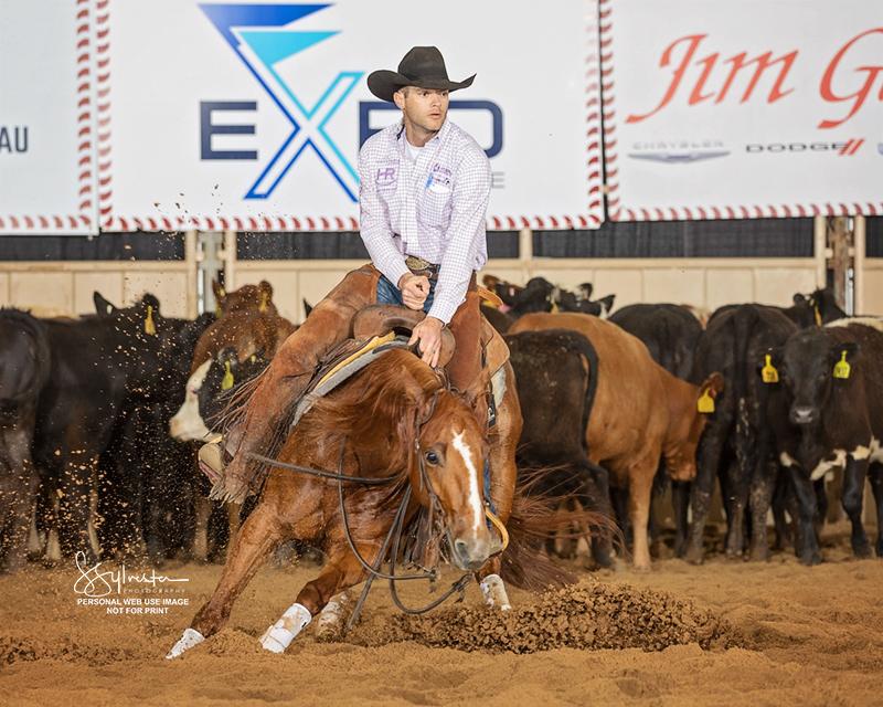 6666 Ranch Stallion Performers Make their Mark!