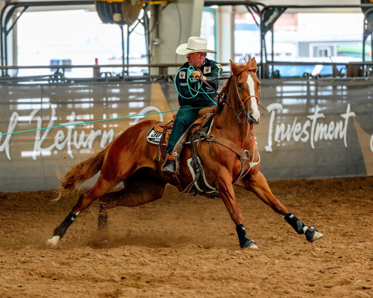 6666 Ranch Stallion Performers Make their Mark!