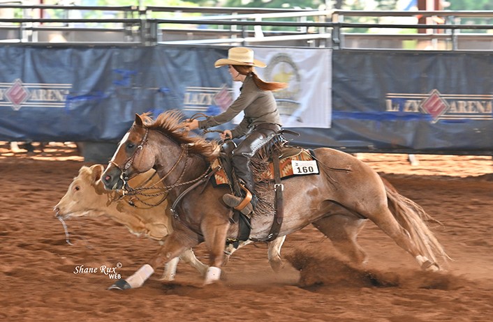 Roping-Cow Horse-Cutting • 6666 Ranch Stallion Performers Making an Impact!