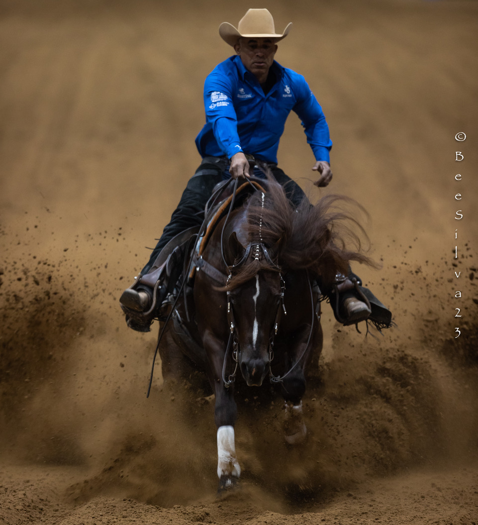 Roping-Cow Horse-Cutting • 6666 Ranch Stallion Performers Making an Impact!