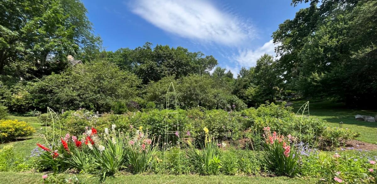 Summertime at Reeves-Reed Arboretum!
