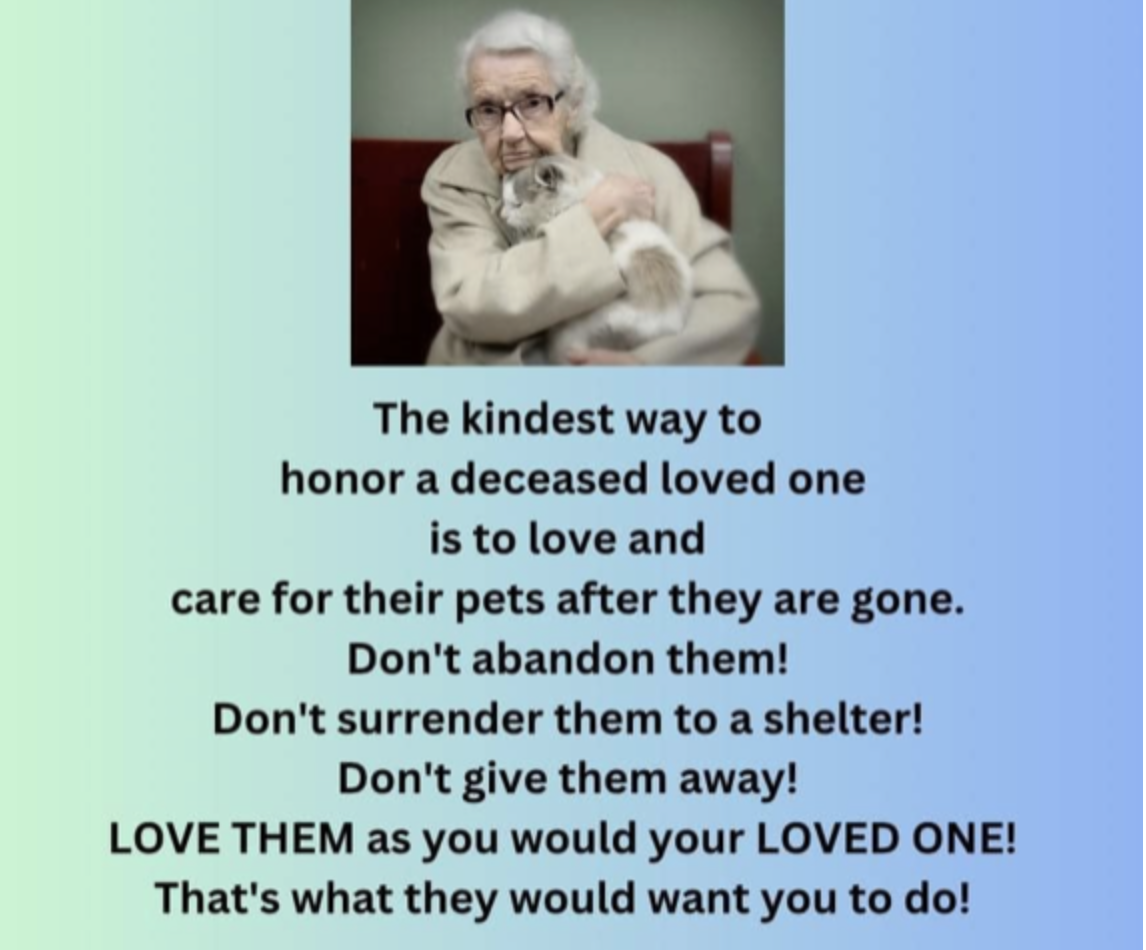 Paw Prints: Dawson County Humane Society Newsletter - Week of February ...