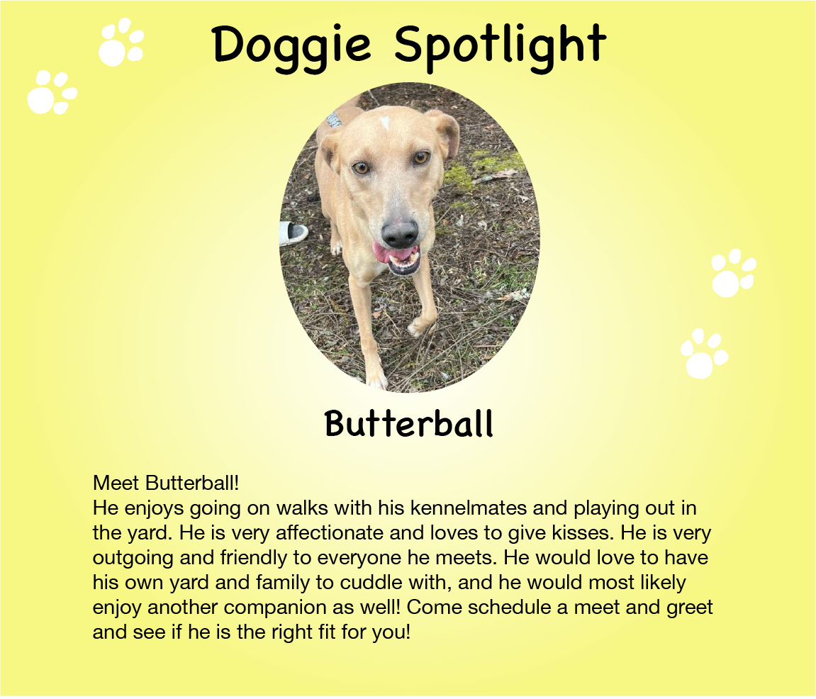 Paw Prints: Dawson County Humane Society Newsletter - Week of January ...