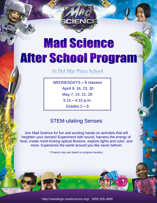 Spring Enrichment PREVIEW