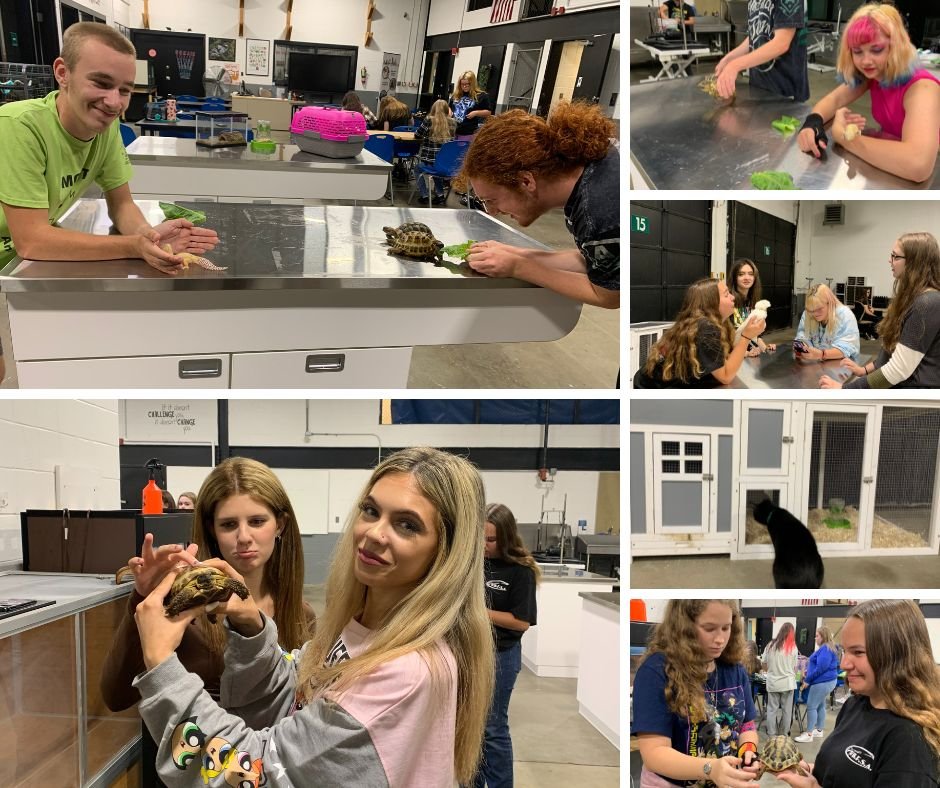 Your MCCTC & Valley STEM newsletter is here 9/9/2022!