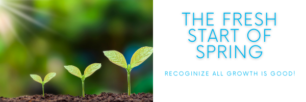 Fresh Start of Spring