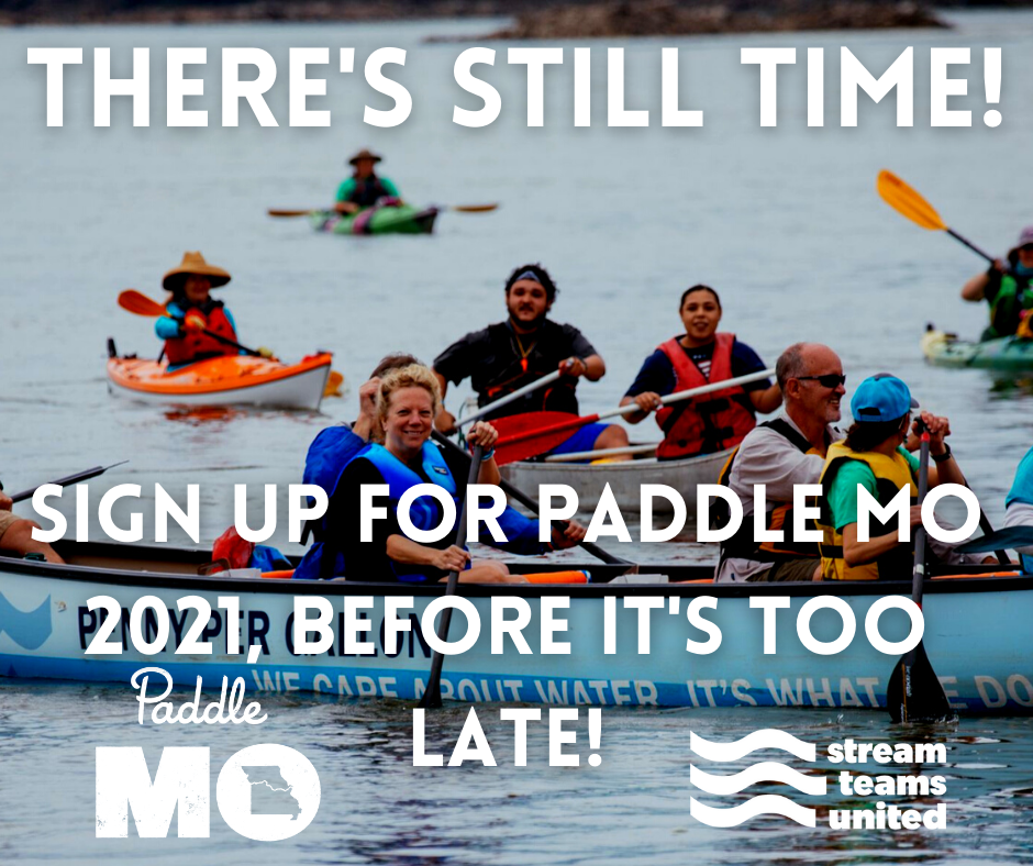 This Week's MOwater News, Creek of the Week, and last chance sign up for Paddle MO 2021