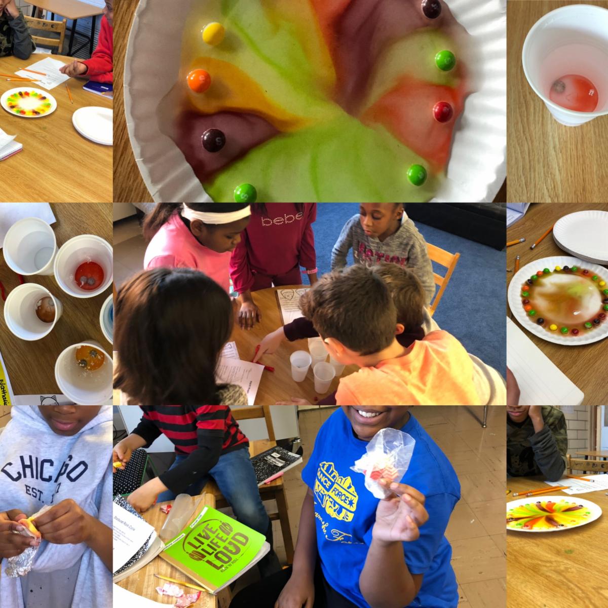 Suder Montessori Newsletter - 11.11.19