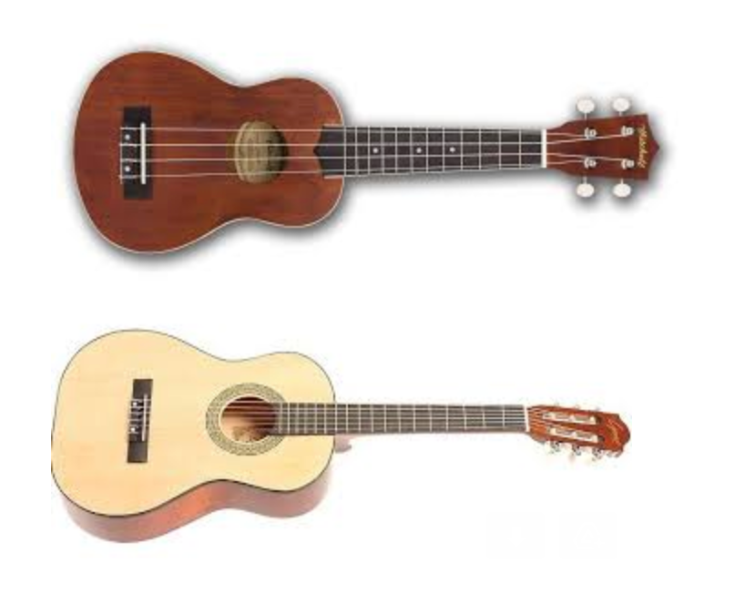 Suder Montessori Newsletter - January 10, 2021