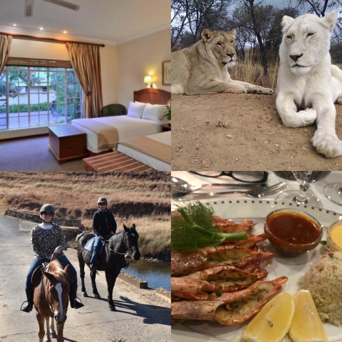 Limpopo to Western Cape