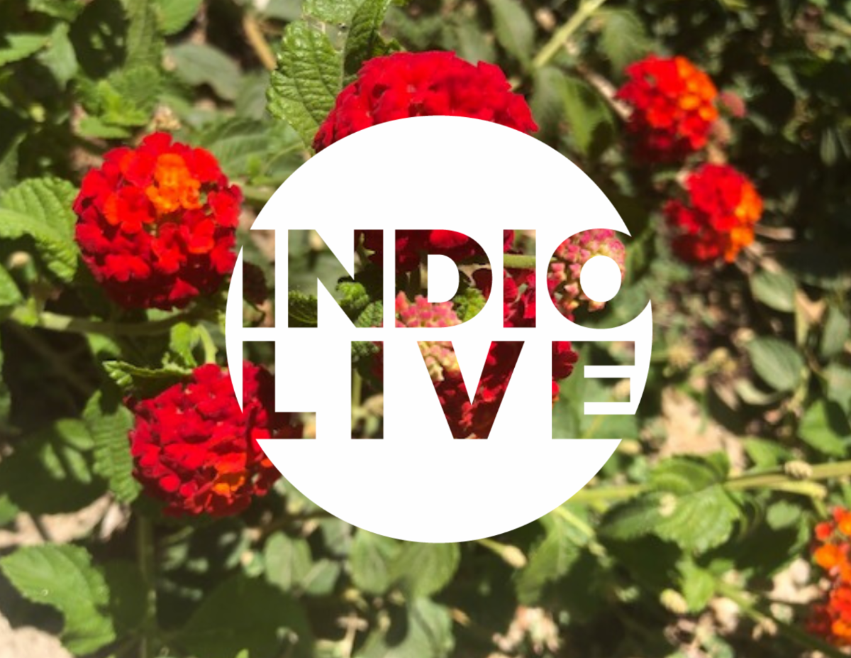 The Latest Indio News For You