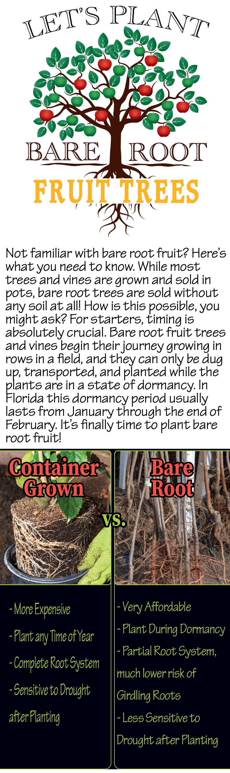 Save 50% with Bare Root Fruit Trees!