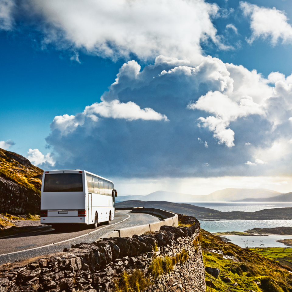 CRPD Optimized Plan, Plus New Events and Programs!