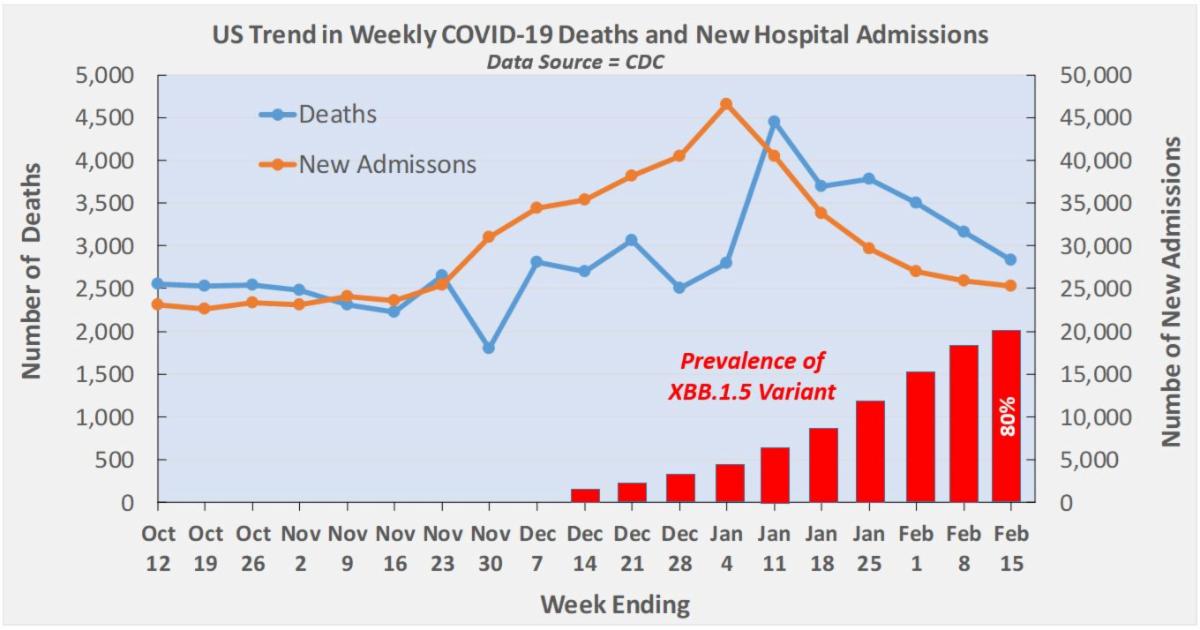 COVID-19 Community Newsletter for February 17, 2023