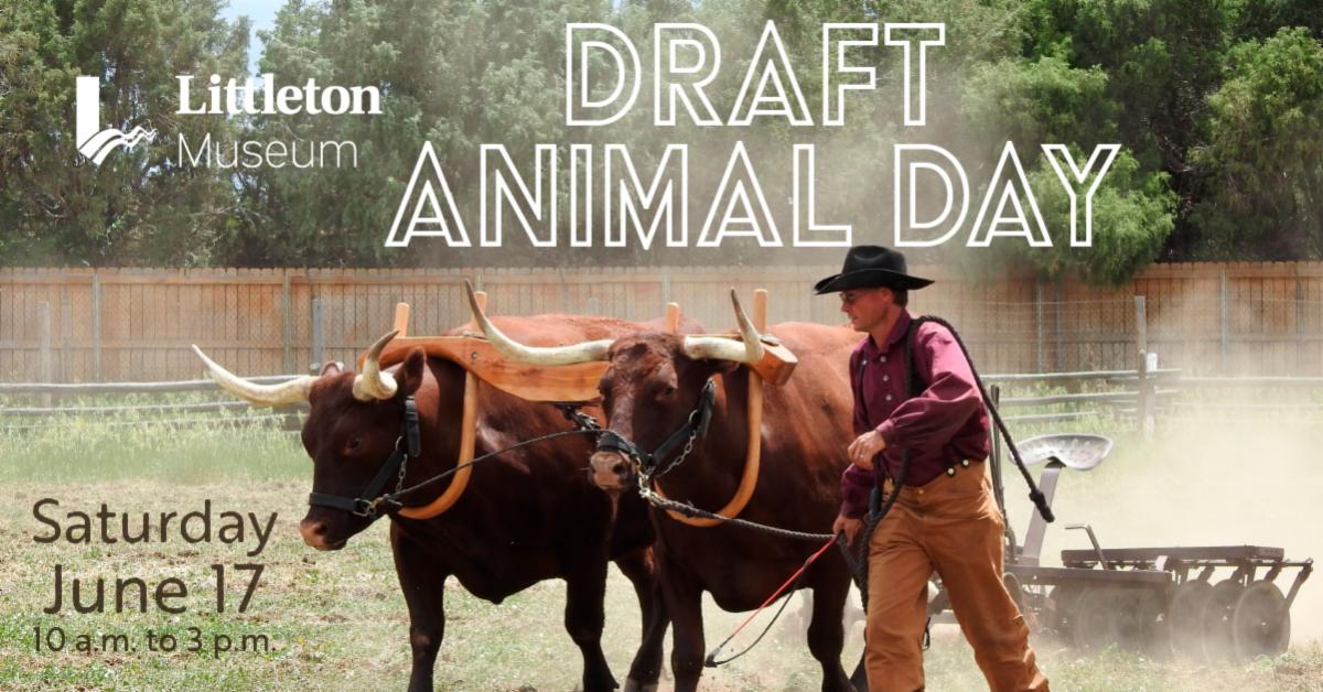 2023 May & June at the Littleton Museum