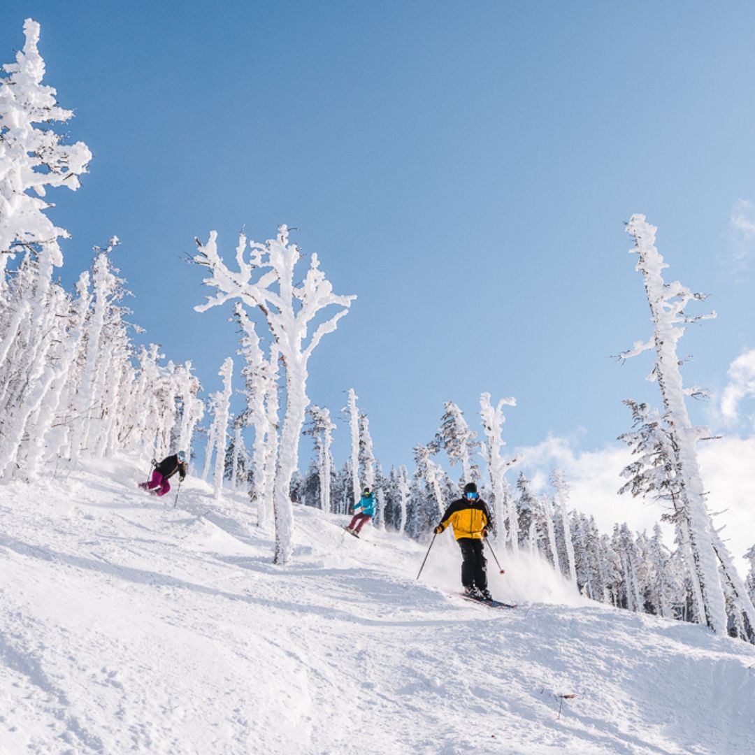 News & Updates: Season Pass Deadline & Mountain Projects