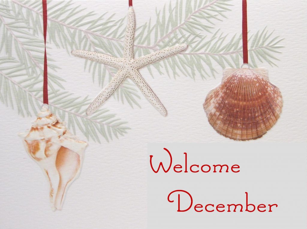 A December to Remember