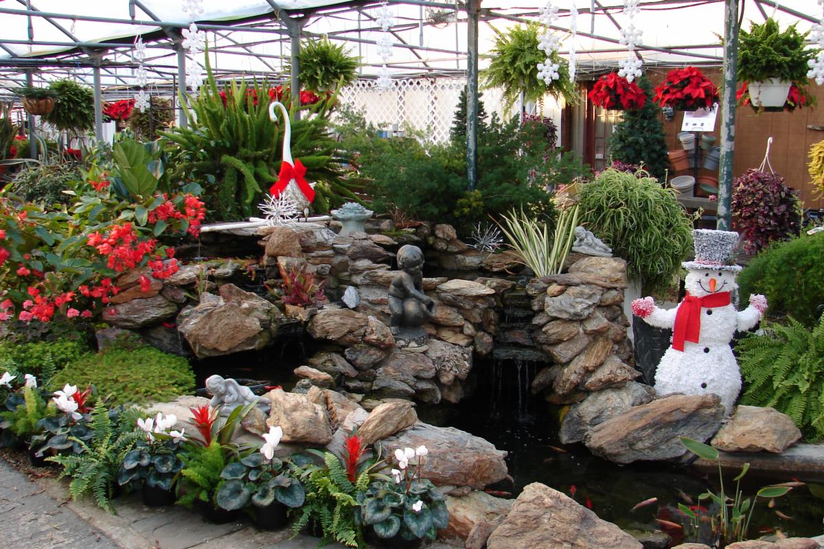 Happy Thanksgiving, Open House & Fun classes.