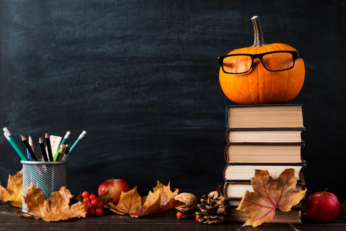 MVESC Professional Development Newsletter