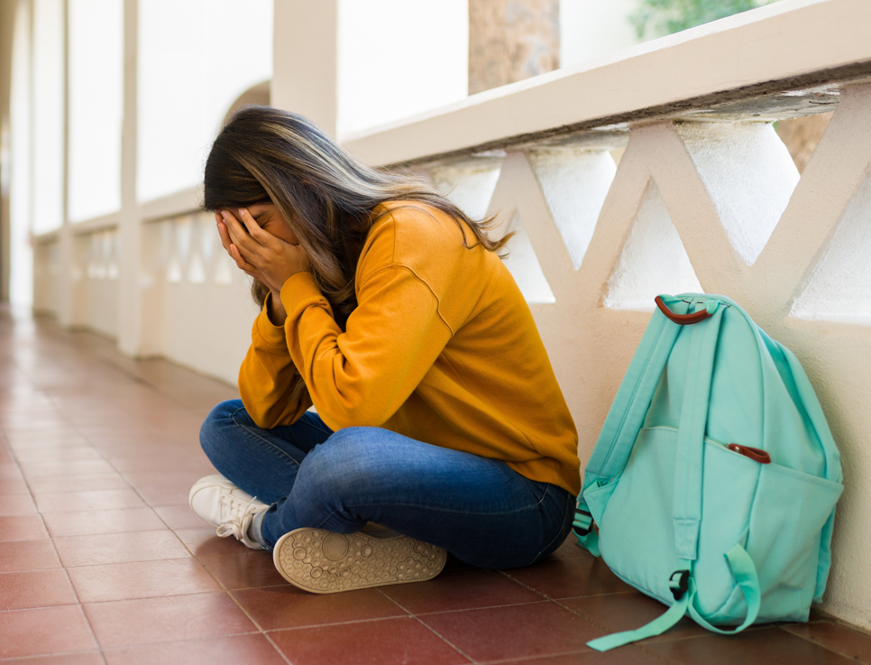 MVESC Professional Development Newsletter