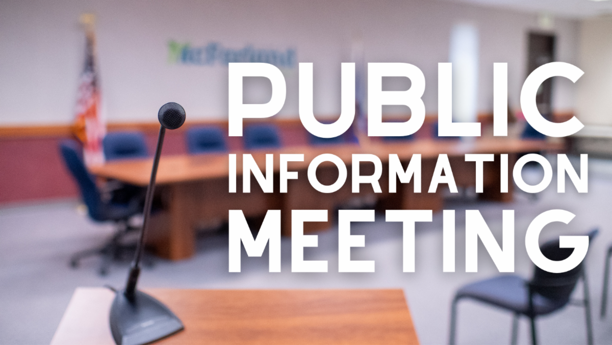 The Lookout | Resident Eagle