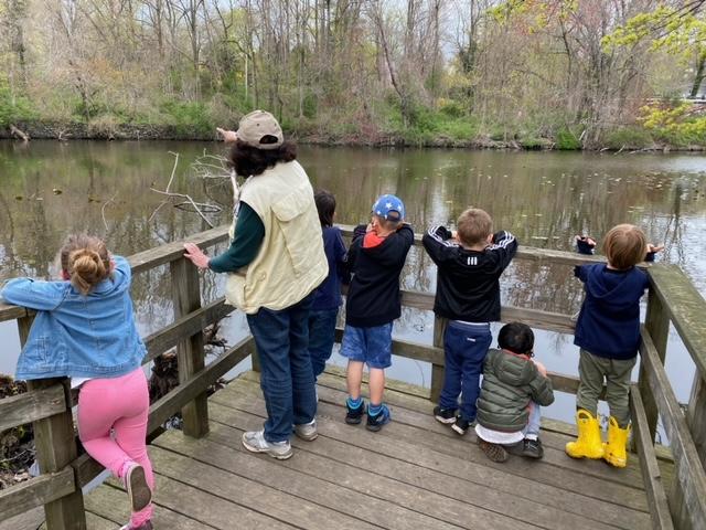 Be a Part of Sheldrake–We Need You