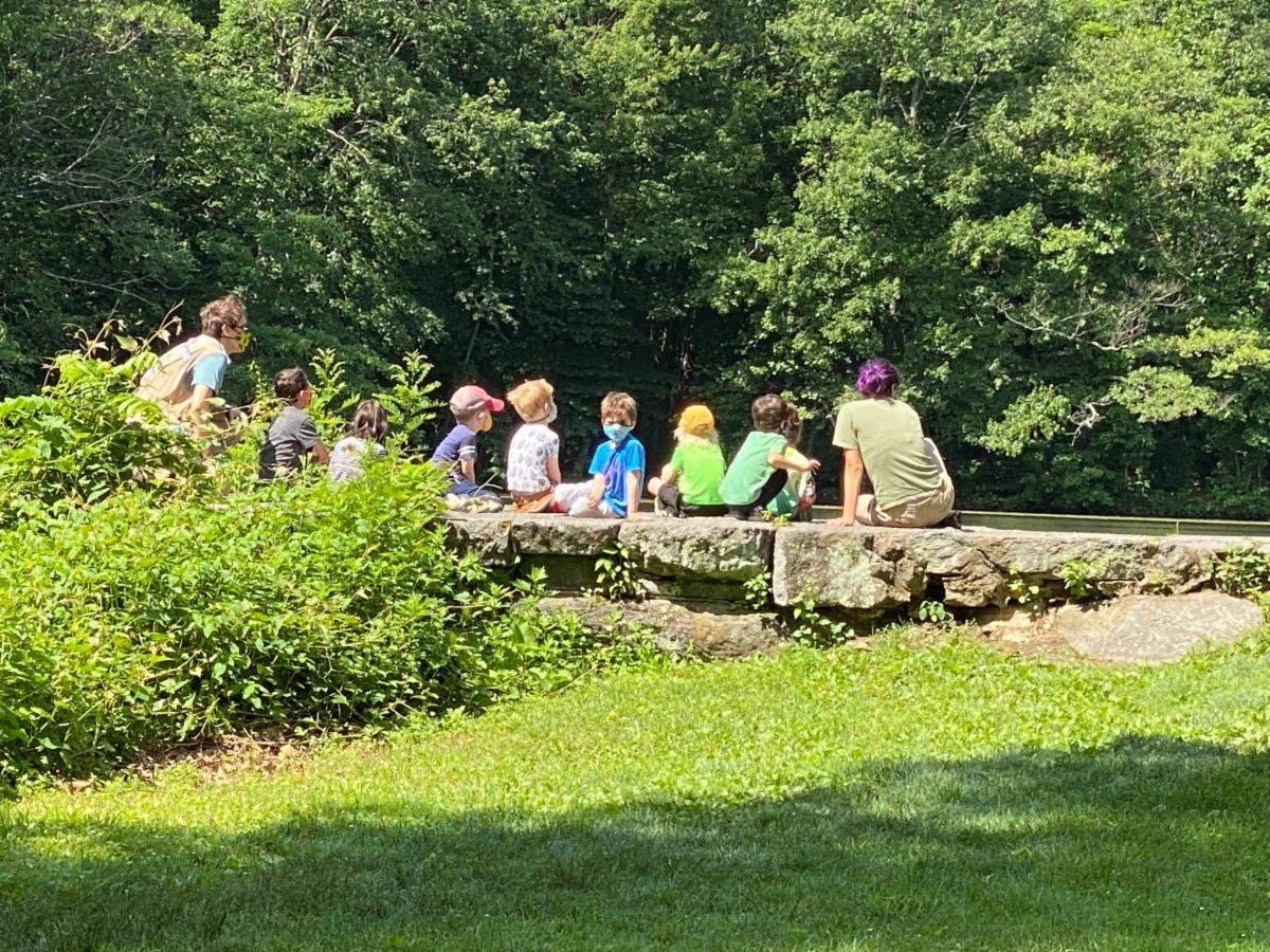 Be a Part of Sheldrake–We Need You