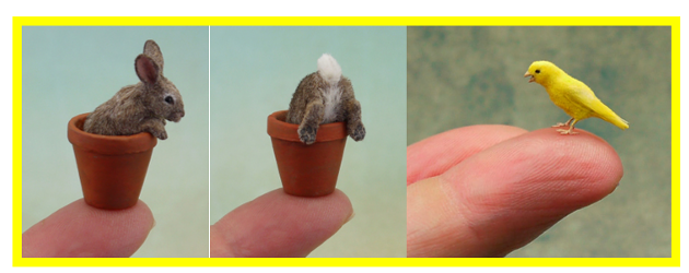 Mini Birds, Bunnies, and other Tiny Beasts - Wiser Now Wednesday