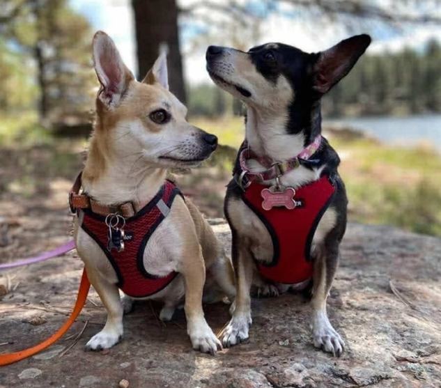 4.29.25 eNews: Guest Editor, Ribbon Cuttings, Orientation, & MORE!