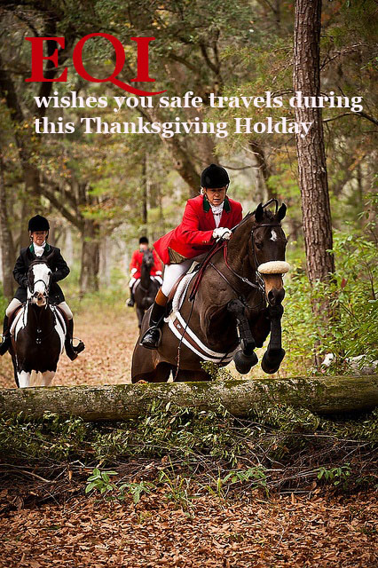 Equestrian Influence LLC