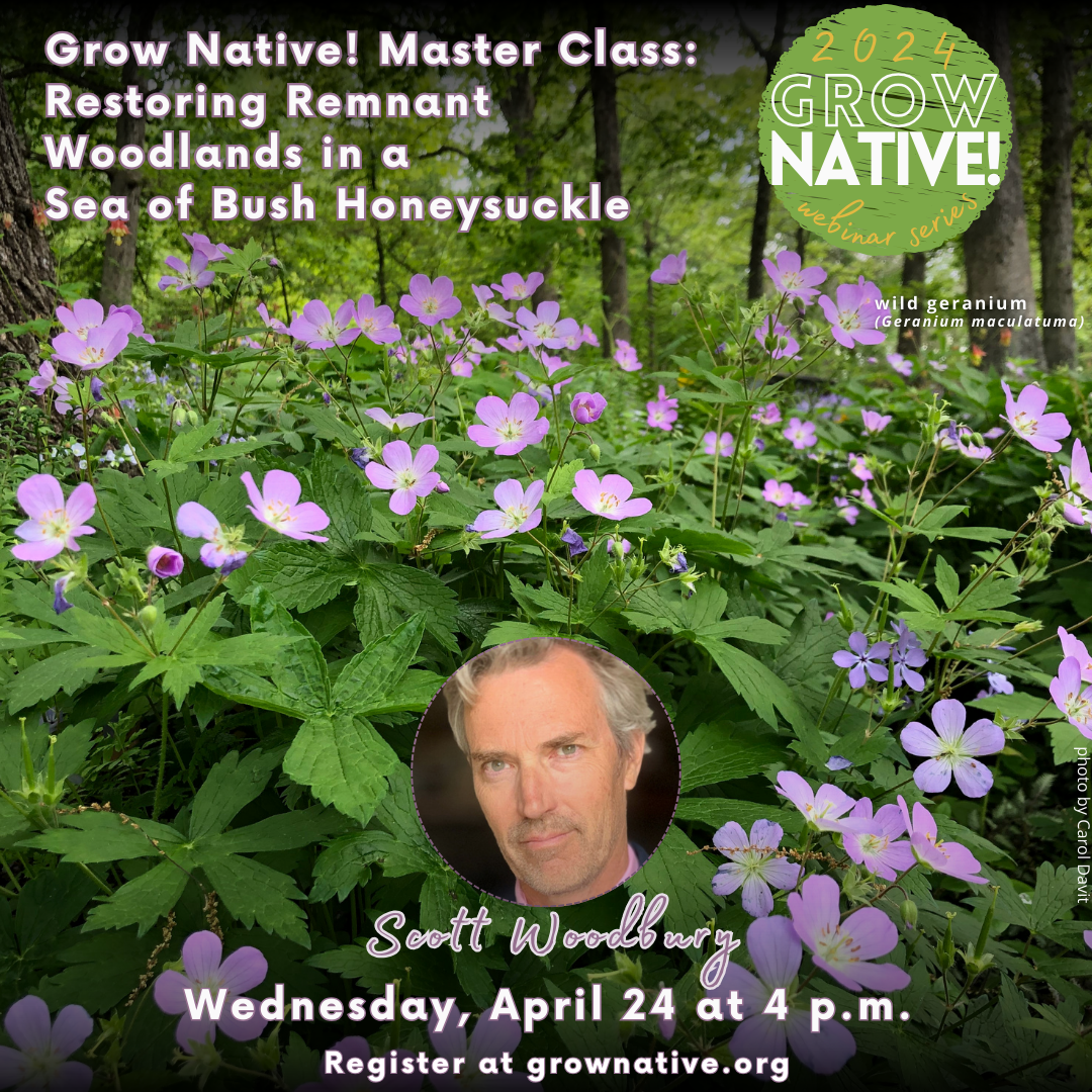 April 24: Restoring Woodlands from Bush Honeysuckle with Scott Woodbury ...