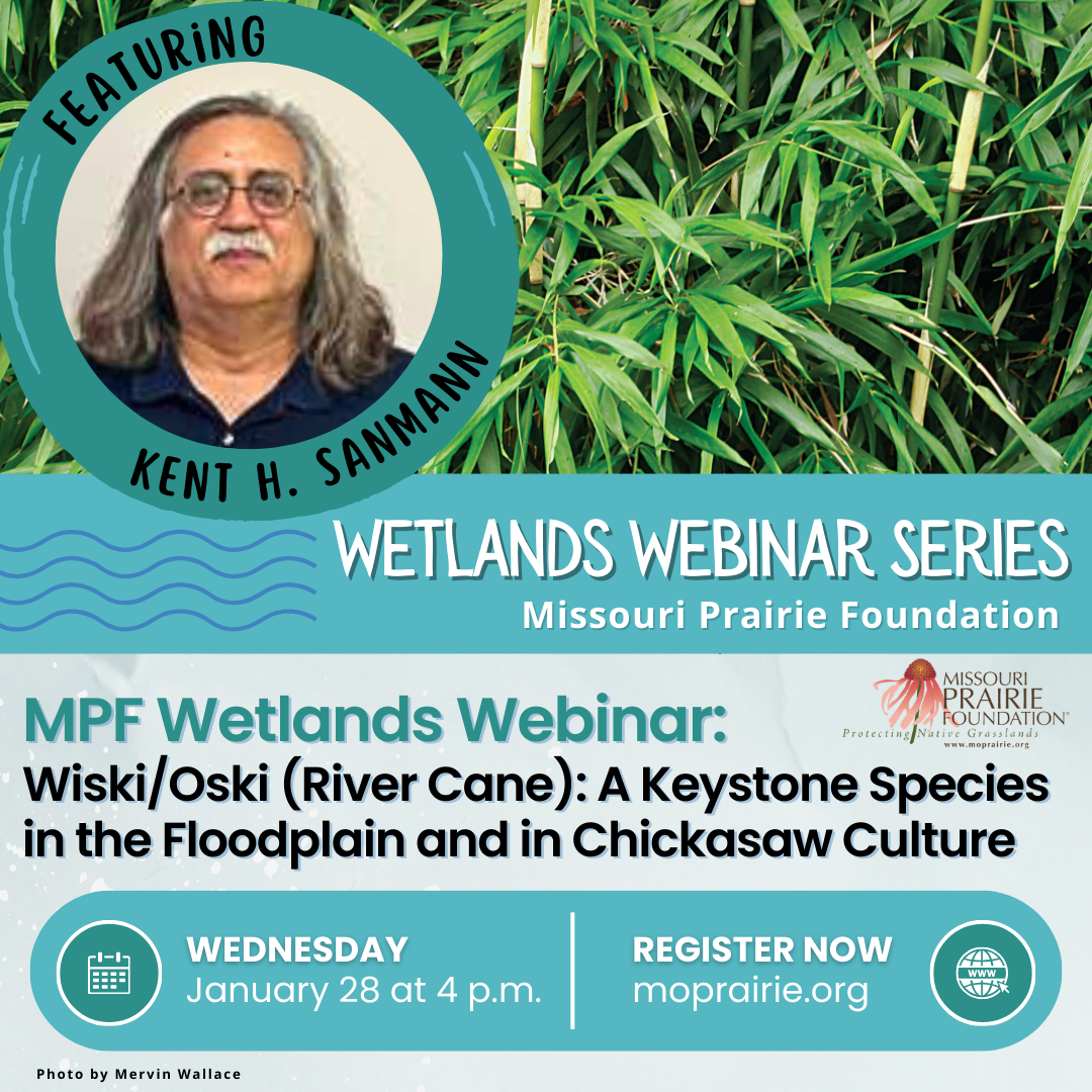 Jan. 28: Indigeneous Knowledge & River Cane + Register Now: In-Person ...