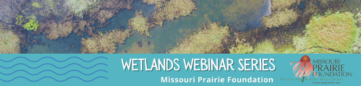 MPF Job Opening + BioBlitz Registration Ends June 5 + June 4 Webinar ...