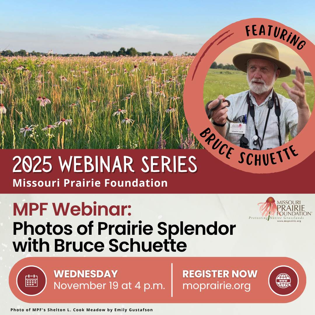 MPF Acquires New Prairie + Nov. 19 Webinar with Bruce Schuette + MPF ...
