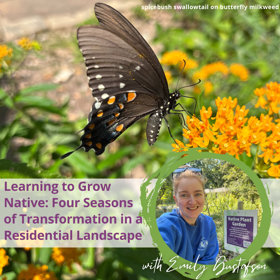 2023 Gardens of Excellence Inductees + Aug. 16 & 30: Grow Native! Webinars + September Guided Hikes