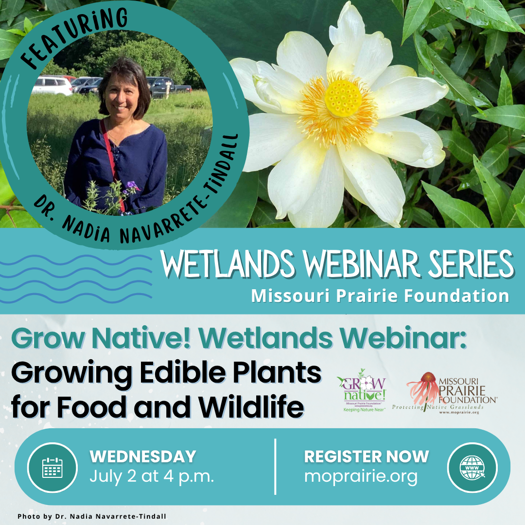 Ask Gov. Kehoe to Sign Invasives Bill + MPF Annual Dinner Registration ...