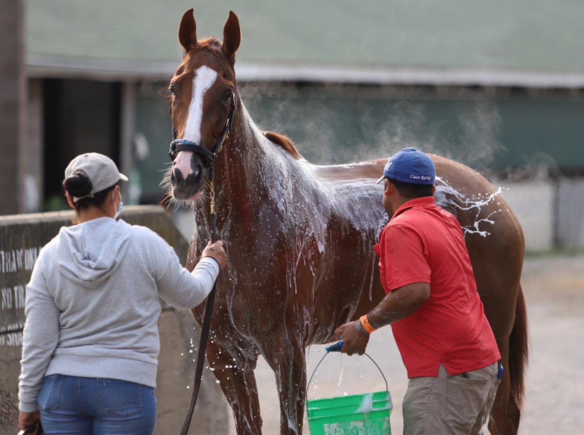 Opinion: Dale Romans Thoughts On Importance of HHR to Kentucky Racing ...