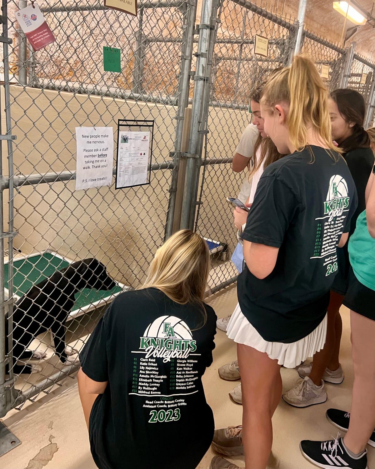 FA Sunday e-Newsletter (10.15.23)