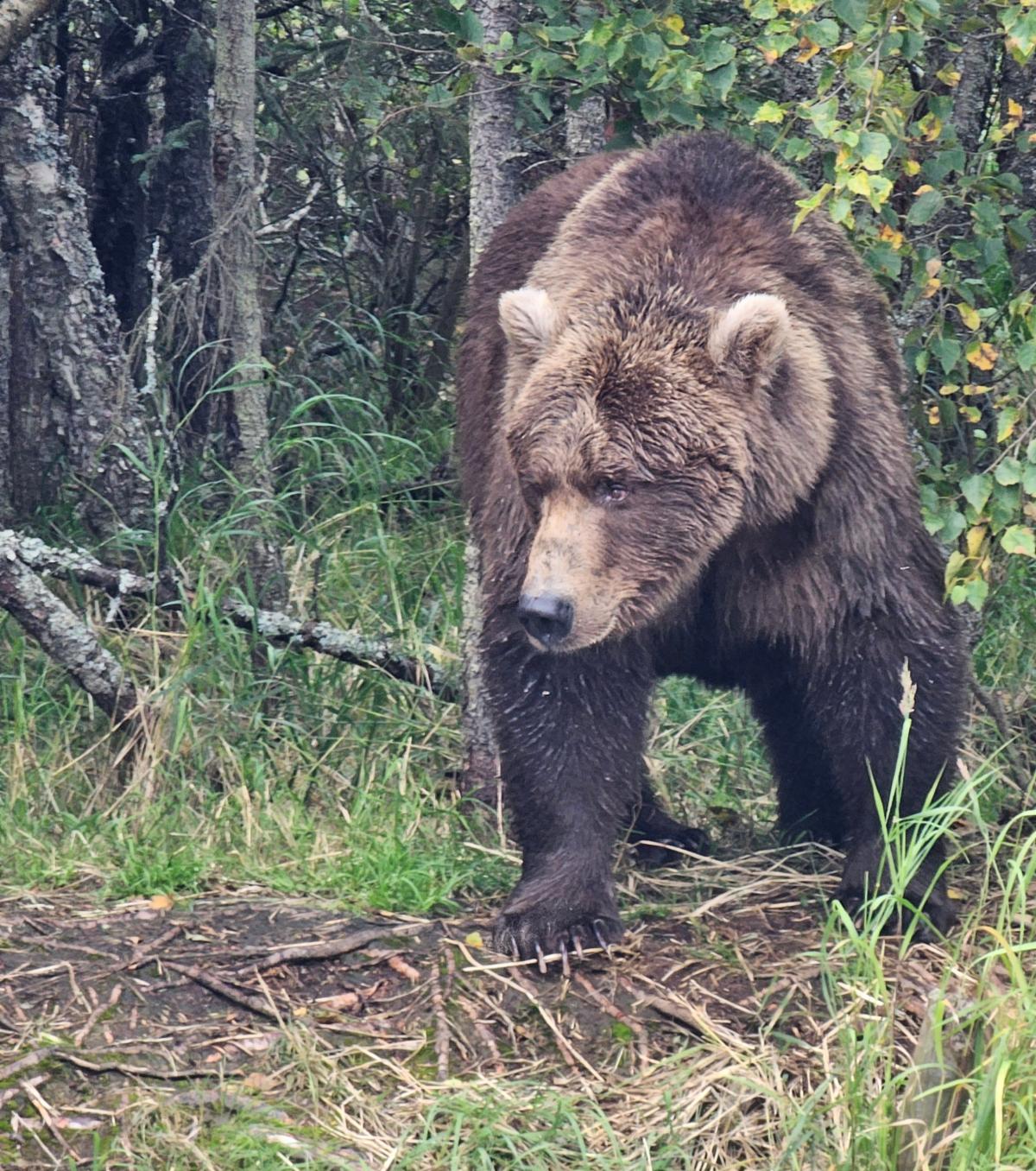 It's here: The Northfield Mountain Newsletter for November 2024