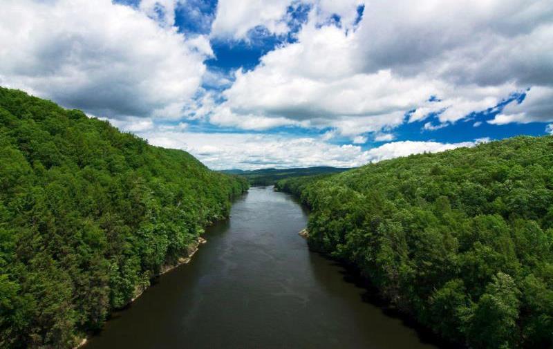 It's here: The Northfield Mountain Newsletter