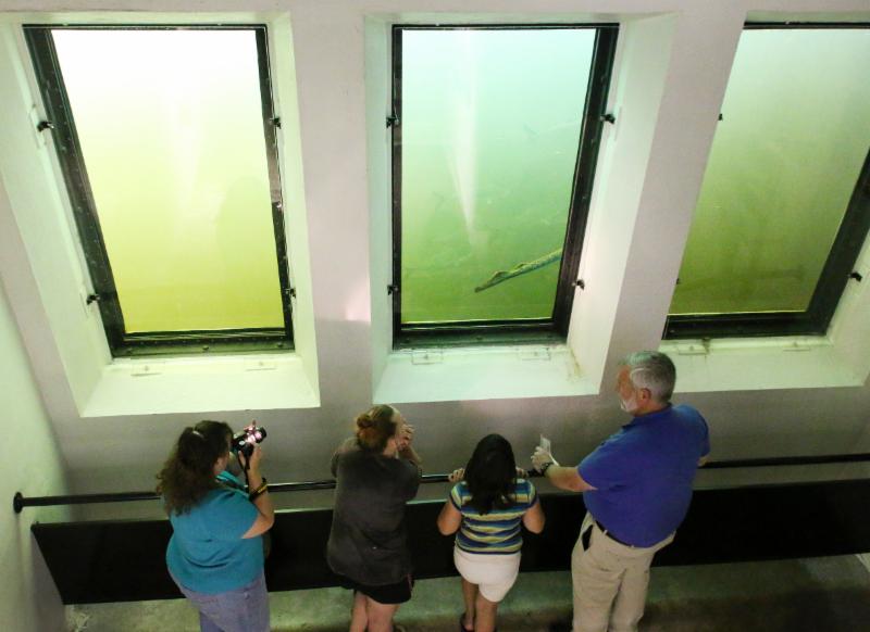 It's here: The Northfield Mountain Newsletter