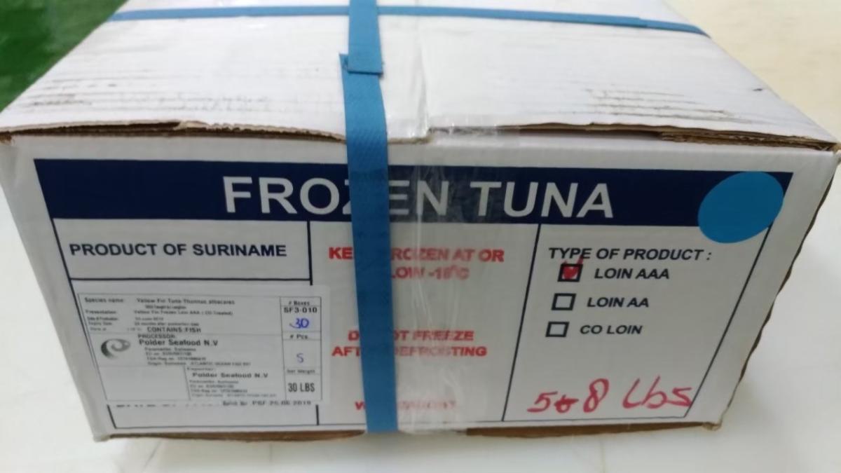 Premium Frozen CO Tuna