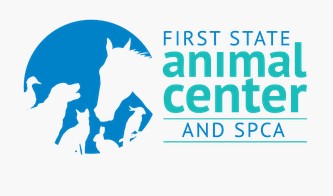 Worship Links for 9/22/2024