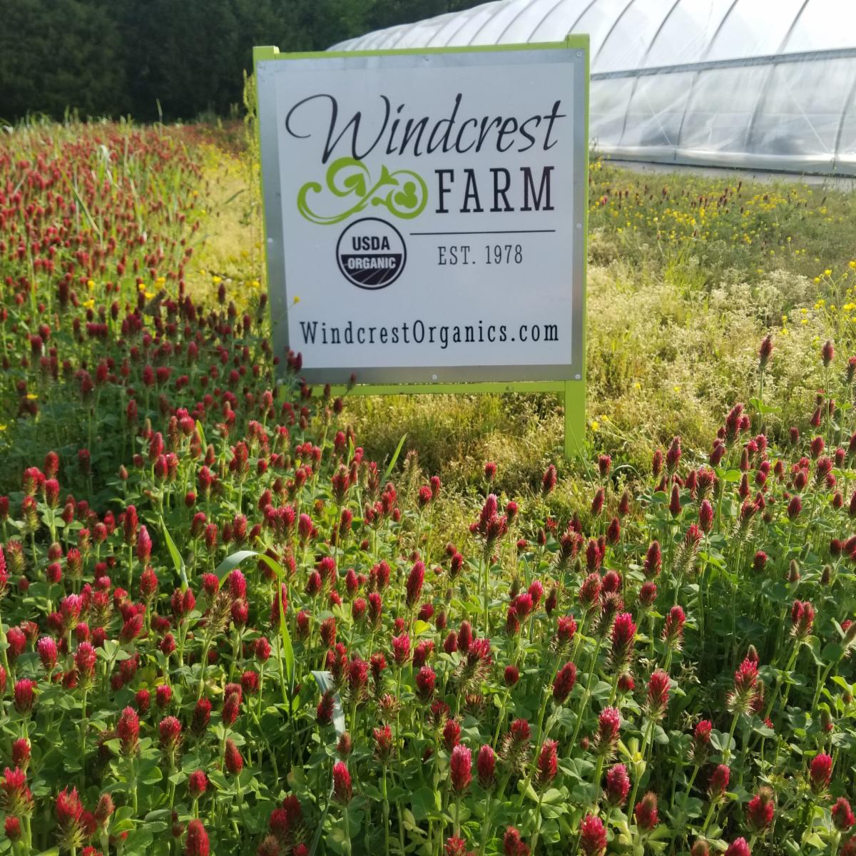 The 'Plus and Minus' of Buying from Windcrest Farm