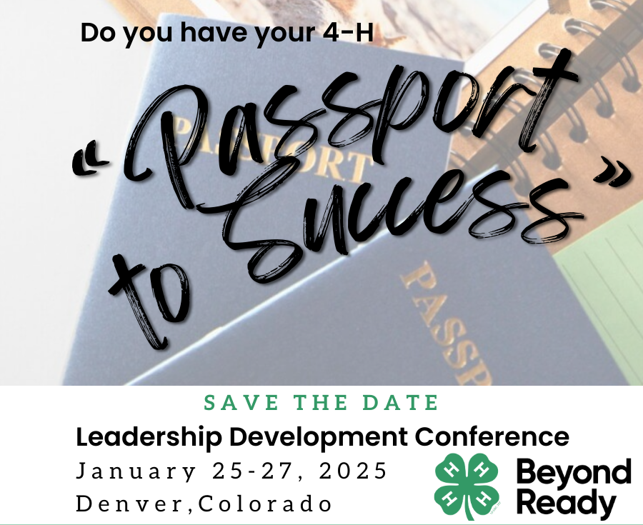 4-H Thursday Blast November 7th, 2024