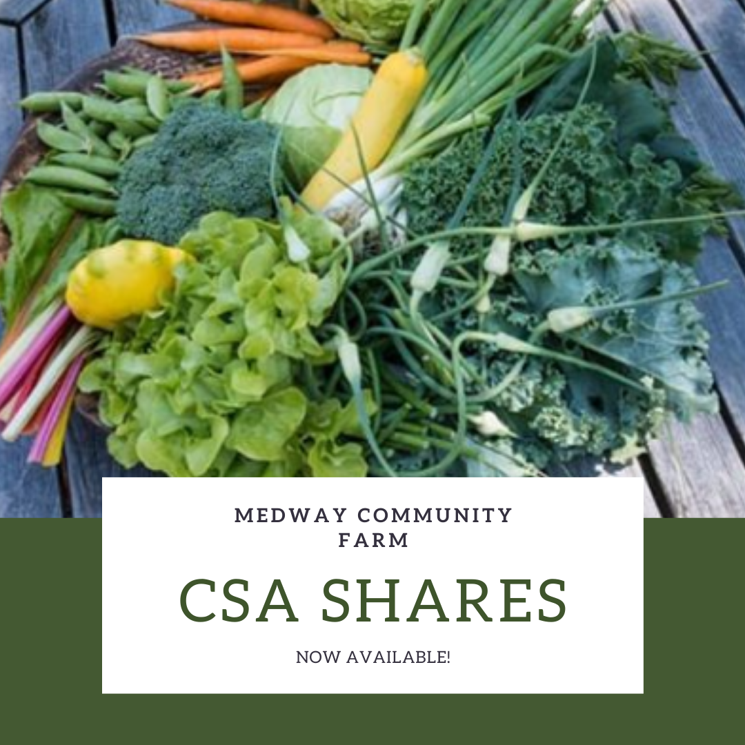 Inside or Outside - You'll find a program to LOVE in Medway.