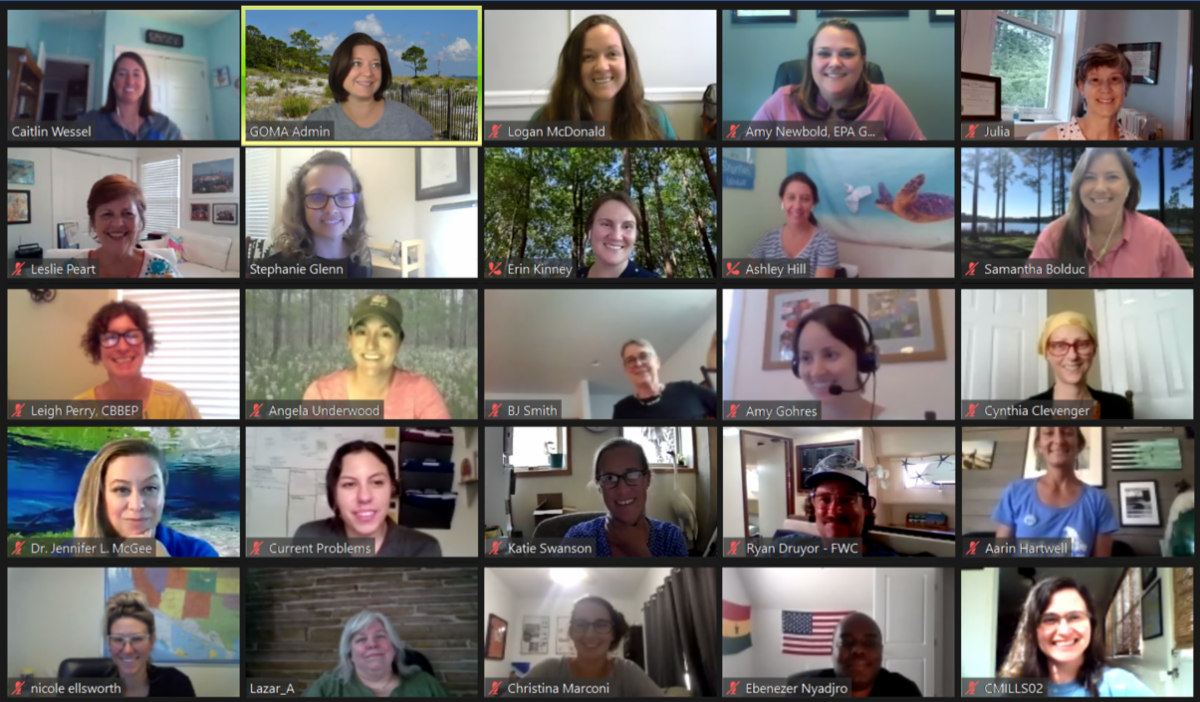 GOMA E-News: Seagrass Status and Trends, Embrace the Gulf 2021, GoMCon ...