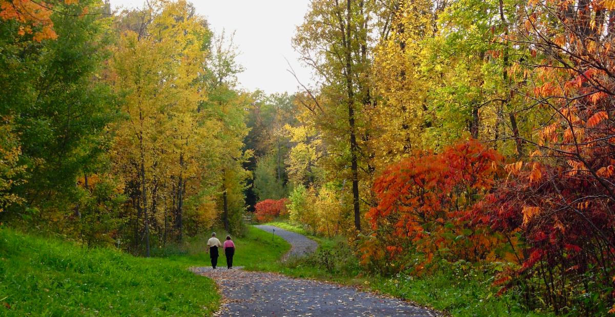 Inaugural Edition of the Sage-ing Times