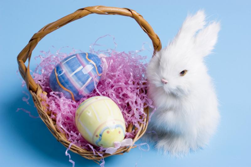 All About the Easter Asteroids