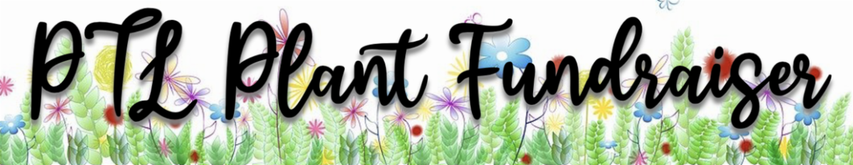 Email from St. John Lutheran Church